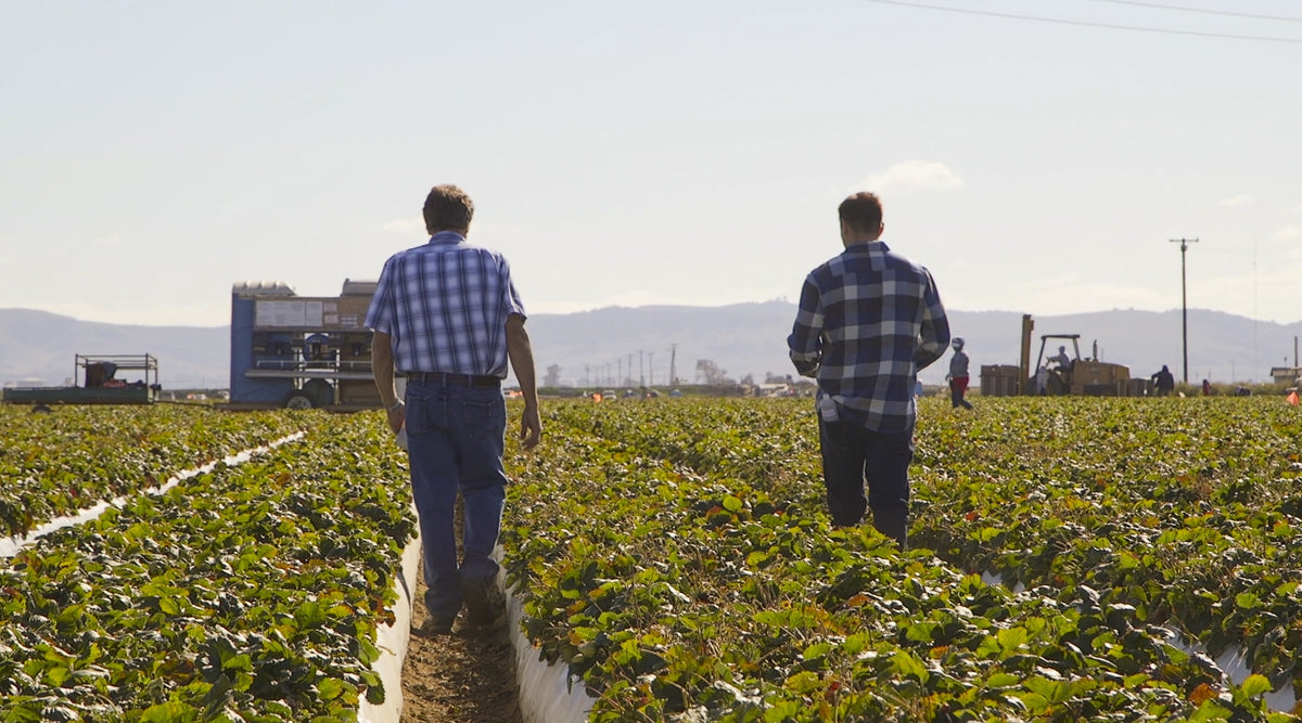Biotactics Inc. | IPM Predatory Mite Pioneers