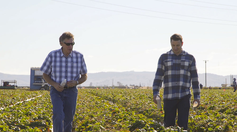 Biotactics Inc. | IPM Predatory Mite Pioneers