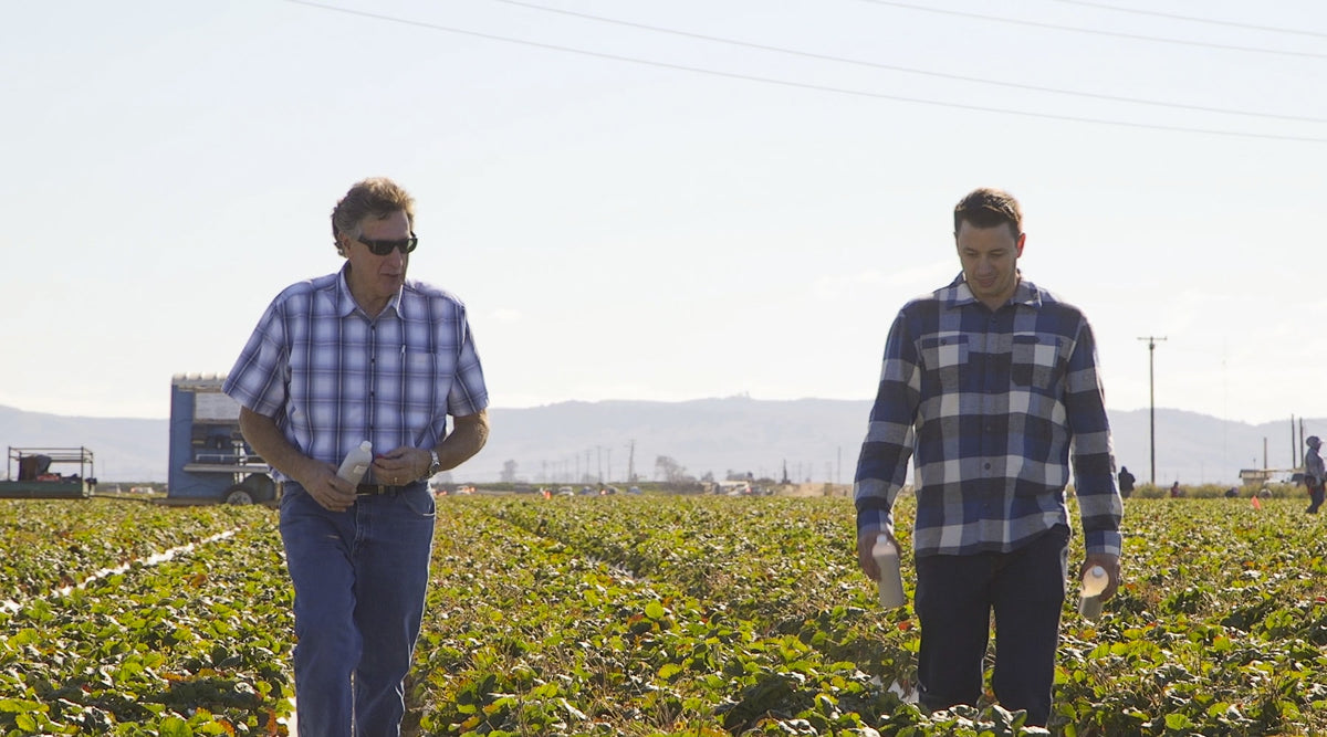 Biotactics Inc. | IPM Predatory Mite Pioneers