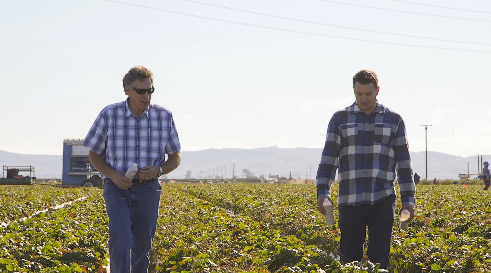 Biotactics Inc. | IPM Predatory Mite Pioneers